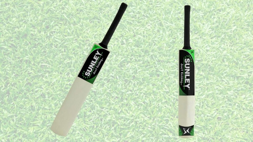 5 Best Cricket Bats in India: Reviews, Buying Guide, and Price - What ...